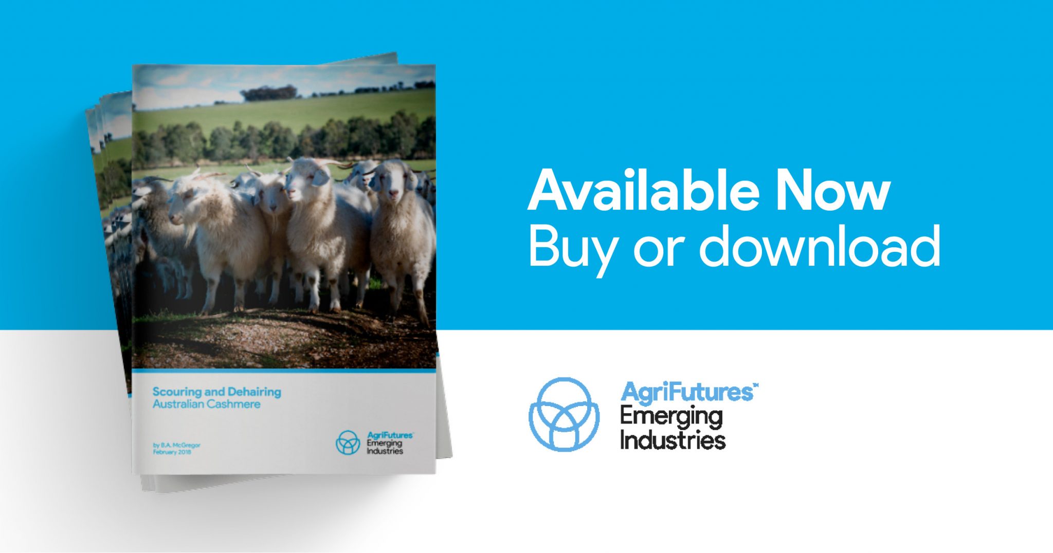 Scouring and Dehairing Australian Cashmere | AgriFutures Australia