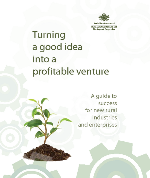 Turning a good Idea into a Profitable Venture – A guide to success for ...