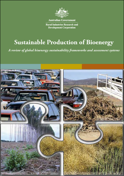 Sustainable Production of Bioenergy – A review of global bioenergy ...