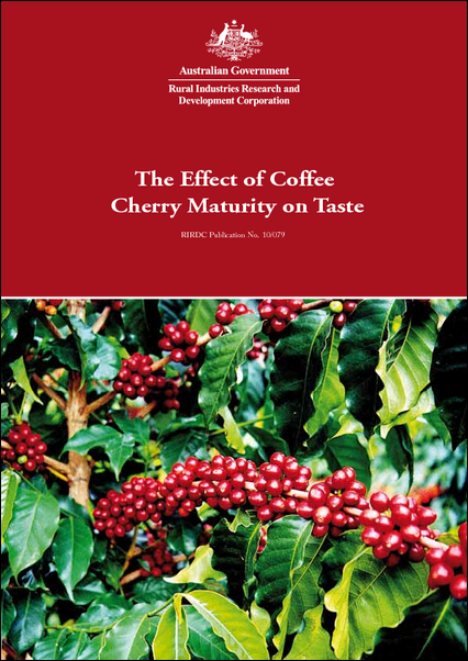 The Effect of Coffee Cherry Maturity on Taste | AgriFutures Australia