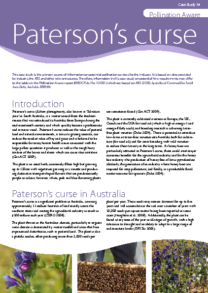 Pollination Aware Case Study: Paterson’s curse | AgriFutures Australia