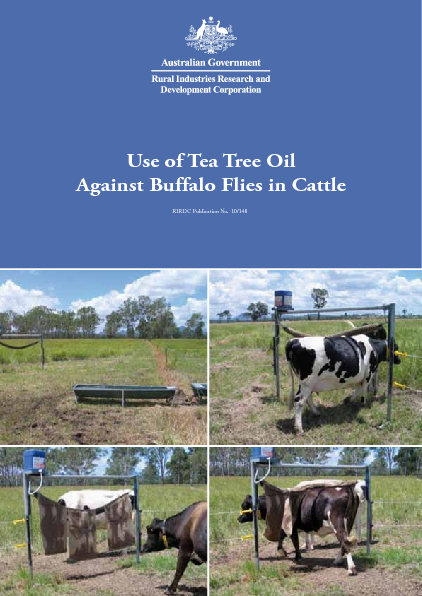 Use of Tea Tree Oil Against Buffalo Flies in Cattle | AgriFutures Australia