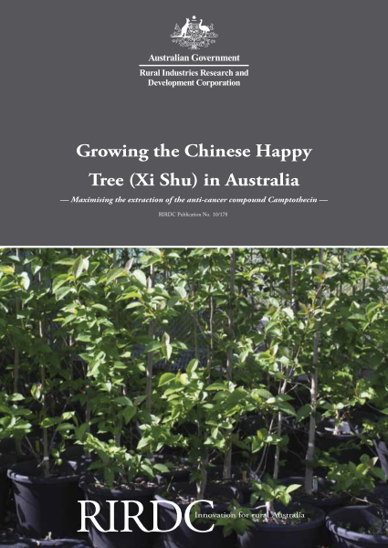 Growing the Chinese Happy Tree (Xi Shu) in Australia | AgriFutures ...