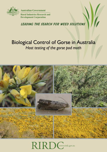 Biological Control of Gorse in Australia – Host testing of the gorse ...