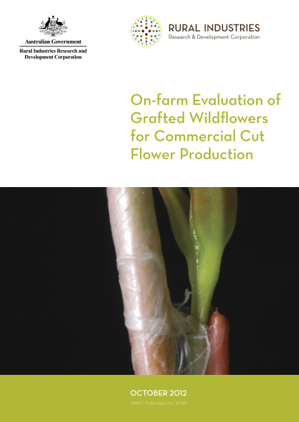 On-farm Evaluation of Grafted Wildflowers for Commercial Cut Flower ...