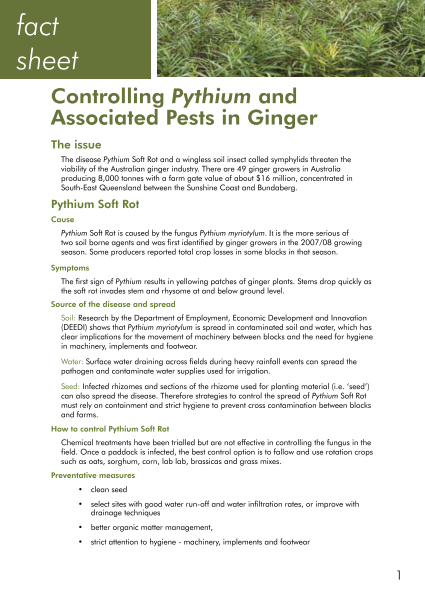 Controlling Pythium and Associated Pests in Ginger fact sheet ...
