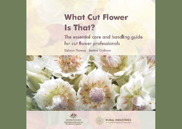 What Cut Flower is That? The essential care and handling guide for cut ...