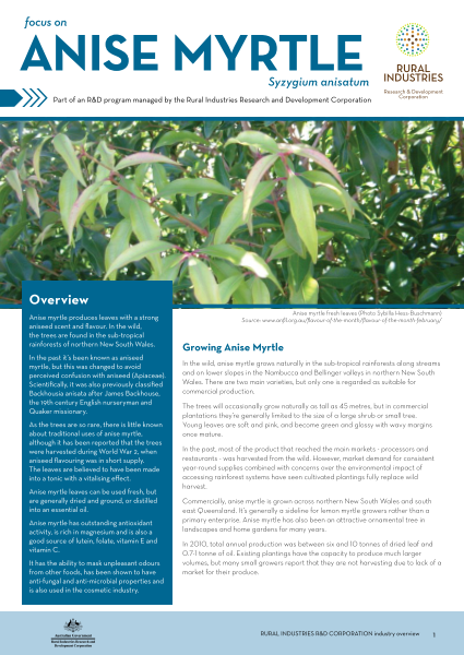 Focus on Anise Myrtle | AgriFutures Australia