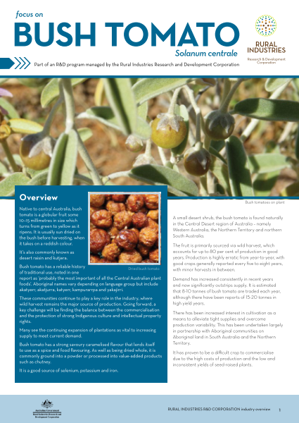 Focus on Bush Tomato | AgriFutures Australia
