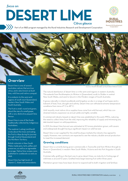 Focus on Desert Lime | AgriFutures Australia
