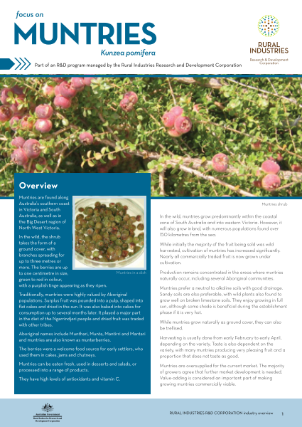 Focus on Muntries | AgriFutures Australia
