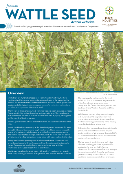 Focus on Wattle Seed | AgriFutures Australia