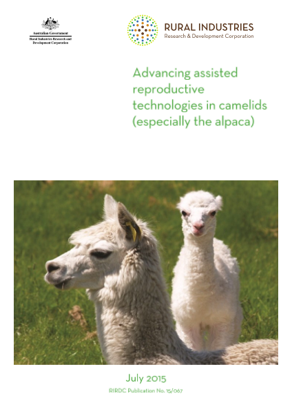 Advancing assisted reproductive technologies in camelids (especially ...