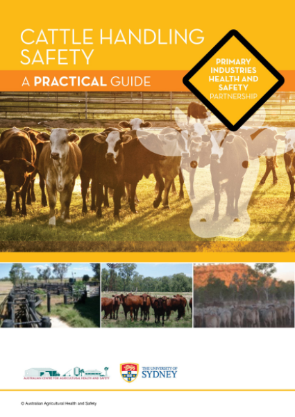Cattle Handling Safety-A Practical Guide | AgriFutures Australia