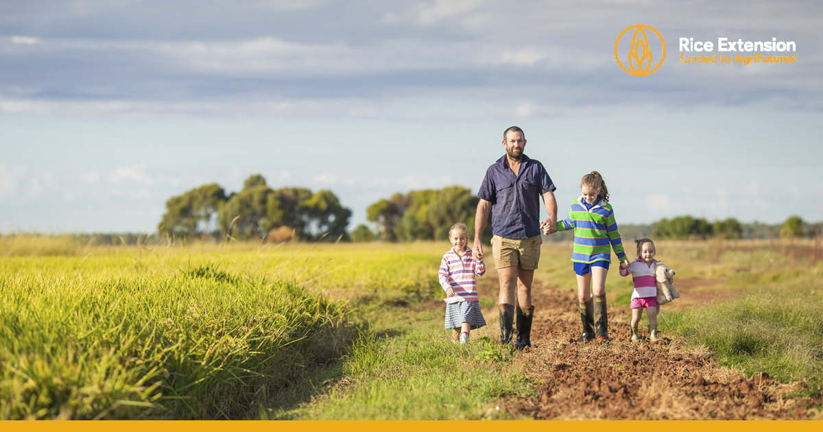 Inaugural 2019 Rice Industry Awards to celebrate outstanding rice ...