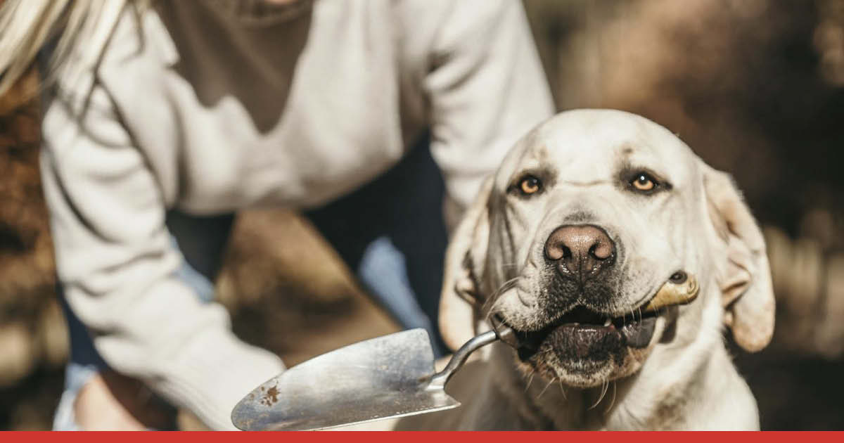 Provenance toolkit to help rural businesses stand out from the crowd ...