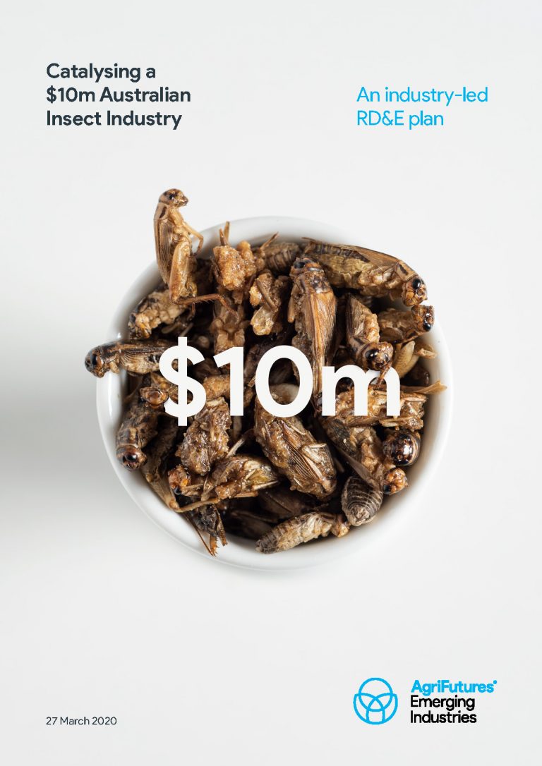 Catalysing a $10m Australian Insect Industry | AgriFutures Australia