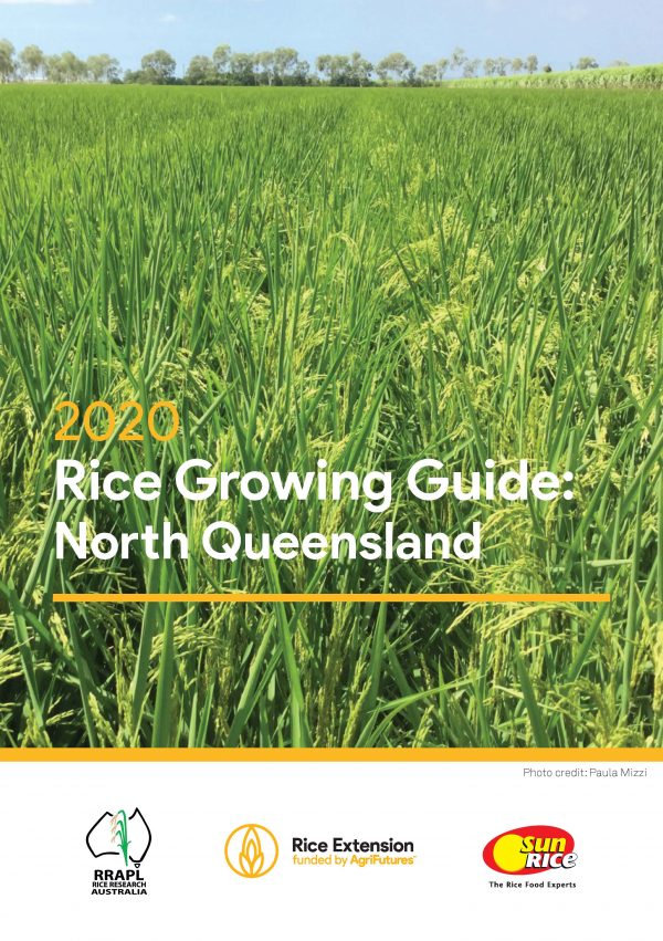 Rice Growing Guide: North Queensland | AgriFutures Australia