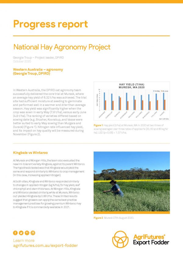 Progress report: National Hay Agronomy Project | AgriFutures Australia