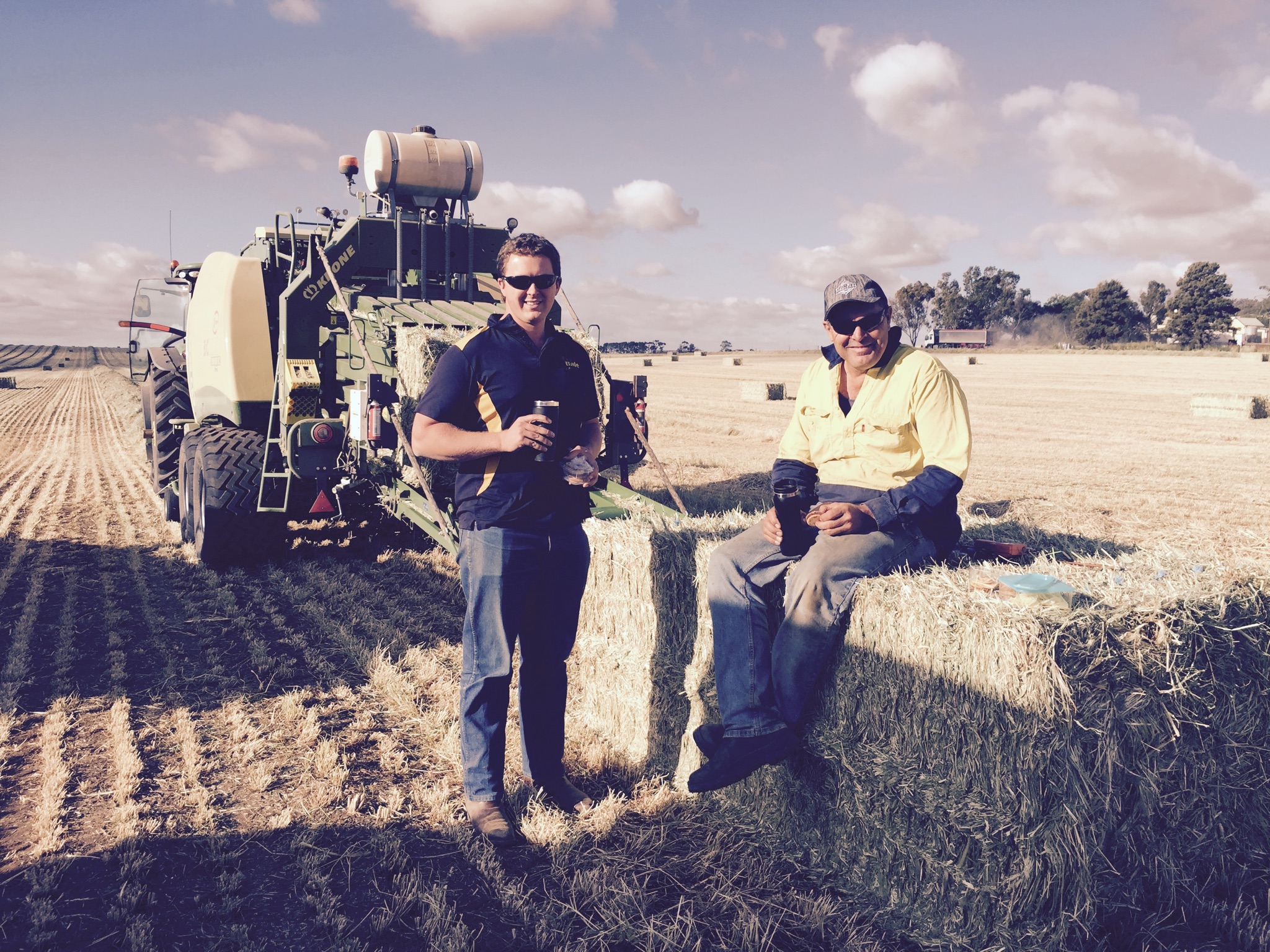 Export fodder customers and growers to benefit from new breeding ...