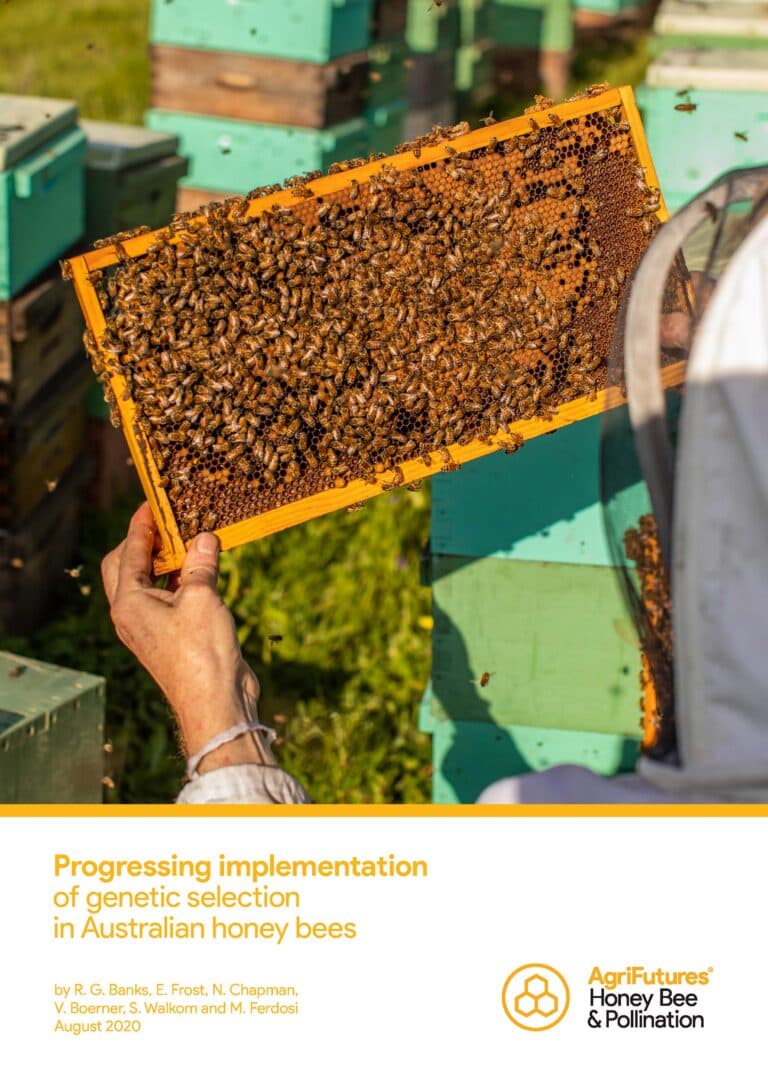 Progressing implementation of genetic selection in Australian honey ...