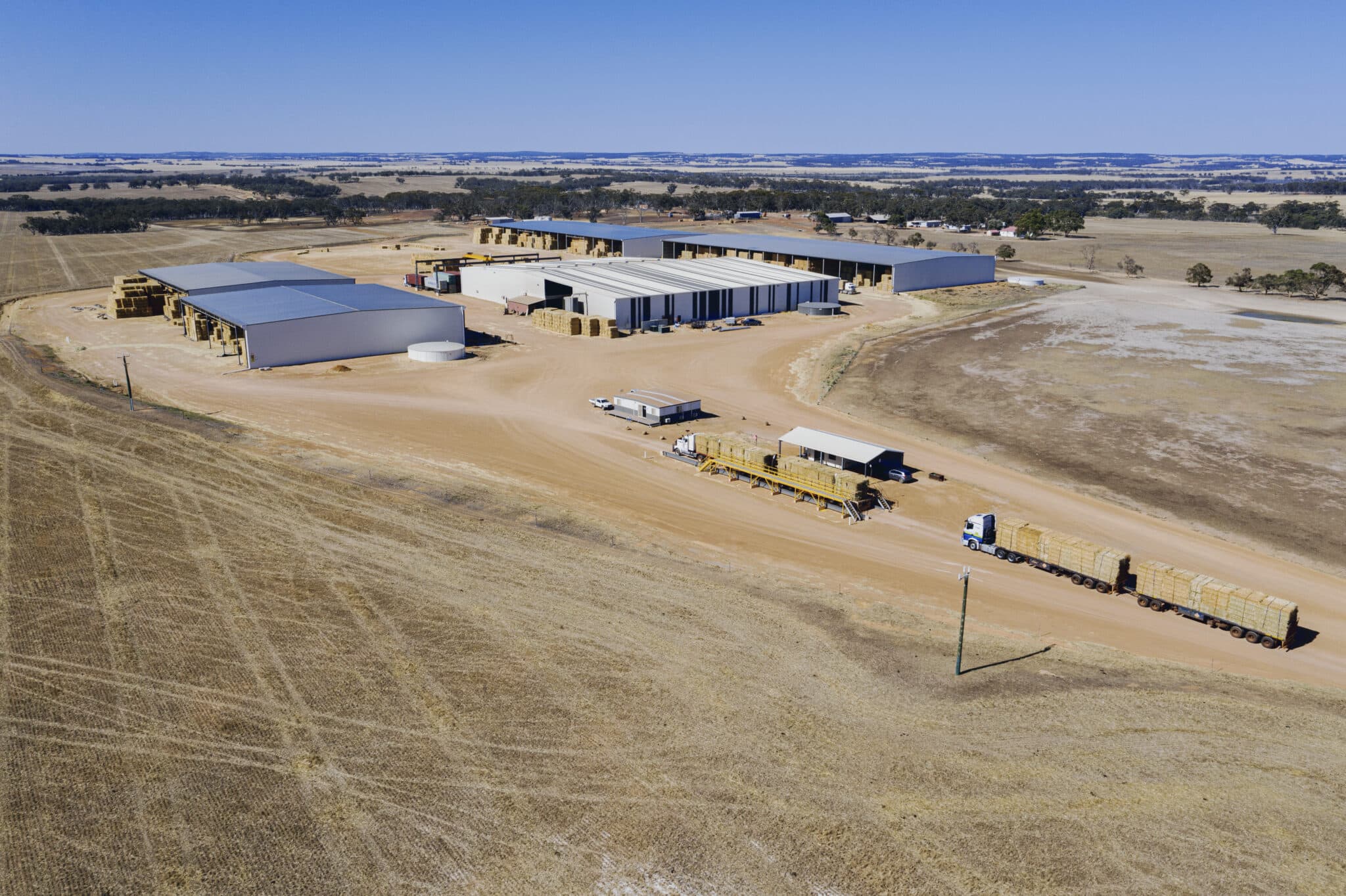 Developing an ‘agile’ Export Fodder industry for a sustainable future ...