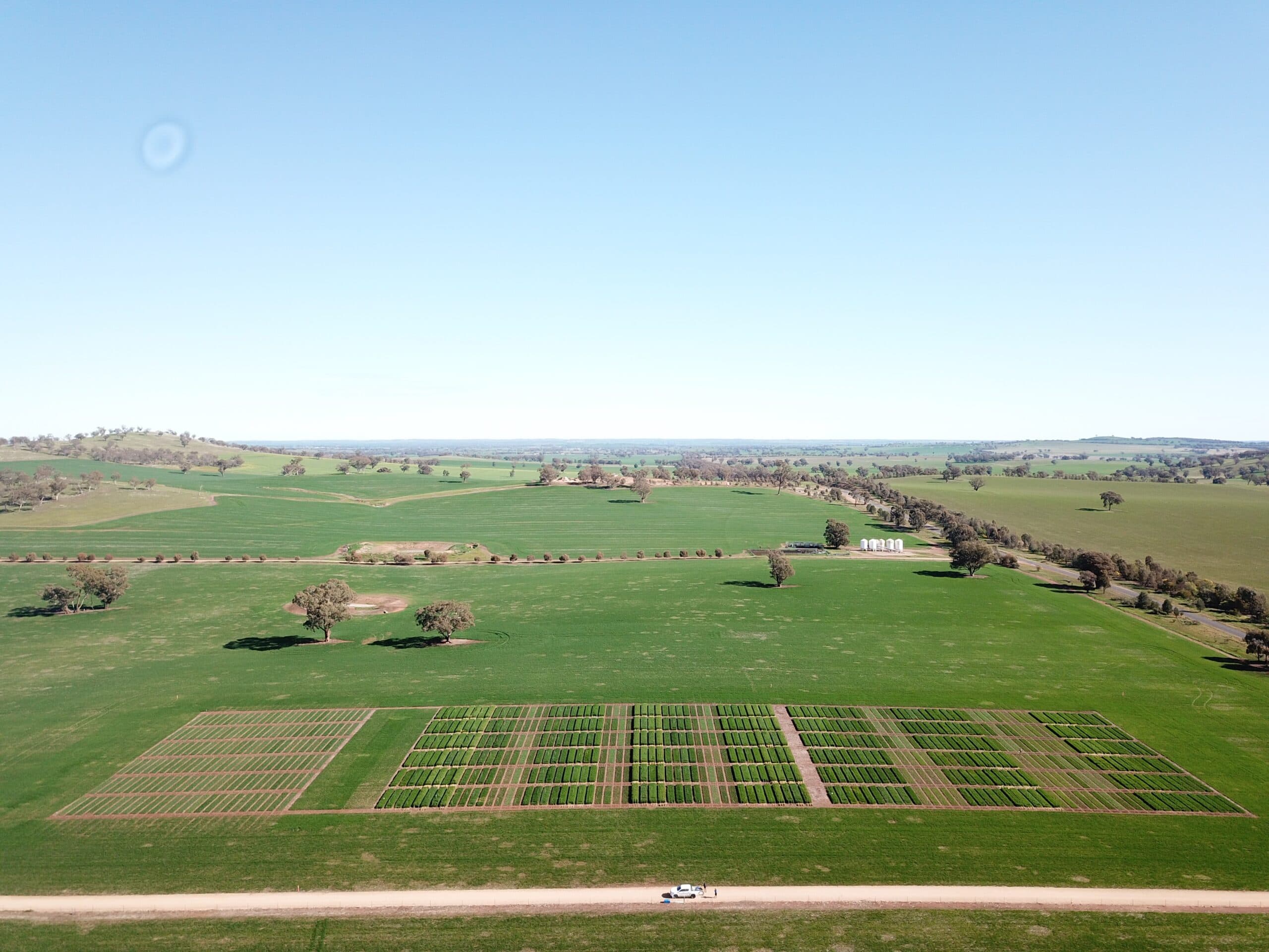 National Hay Agronomy Project: 2020 results | AgriFutures Australia