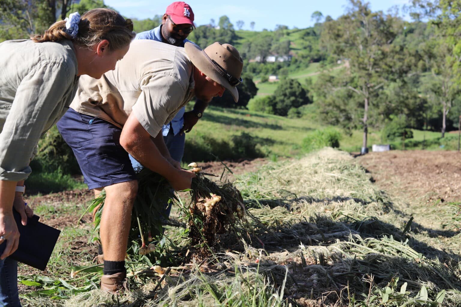 The agile art of research extension | AgriFutures Australia