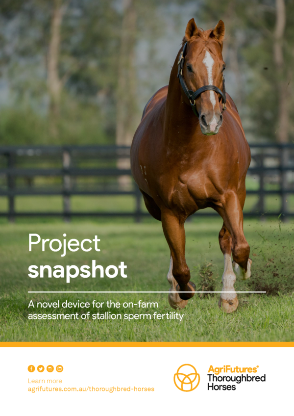 A novel device for the on-farm assessment of stallion sperm fertility ...