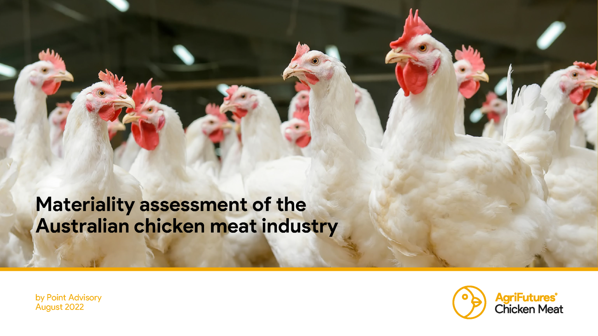 Materiality assessment of the Australian chicken meat industry ...