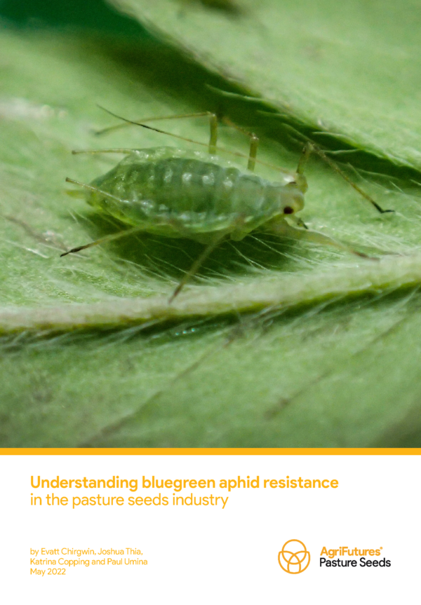 Understanding bluegreen aphid resistance in the pasture seeds industry ...