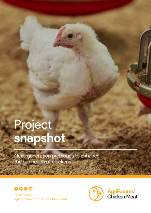 Project snapshot: Next-generation probiotics to enhance the gut health ...