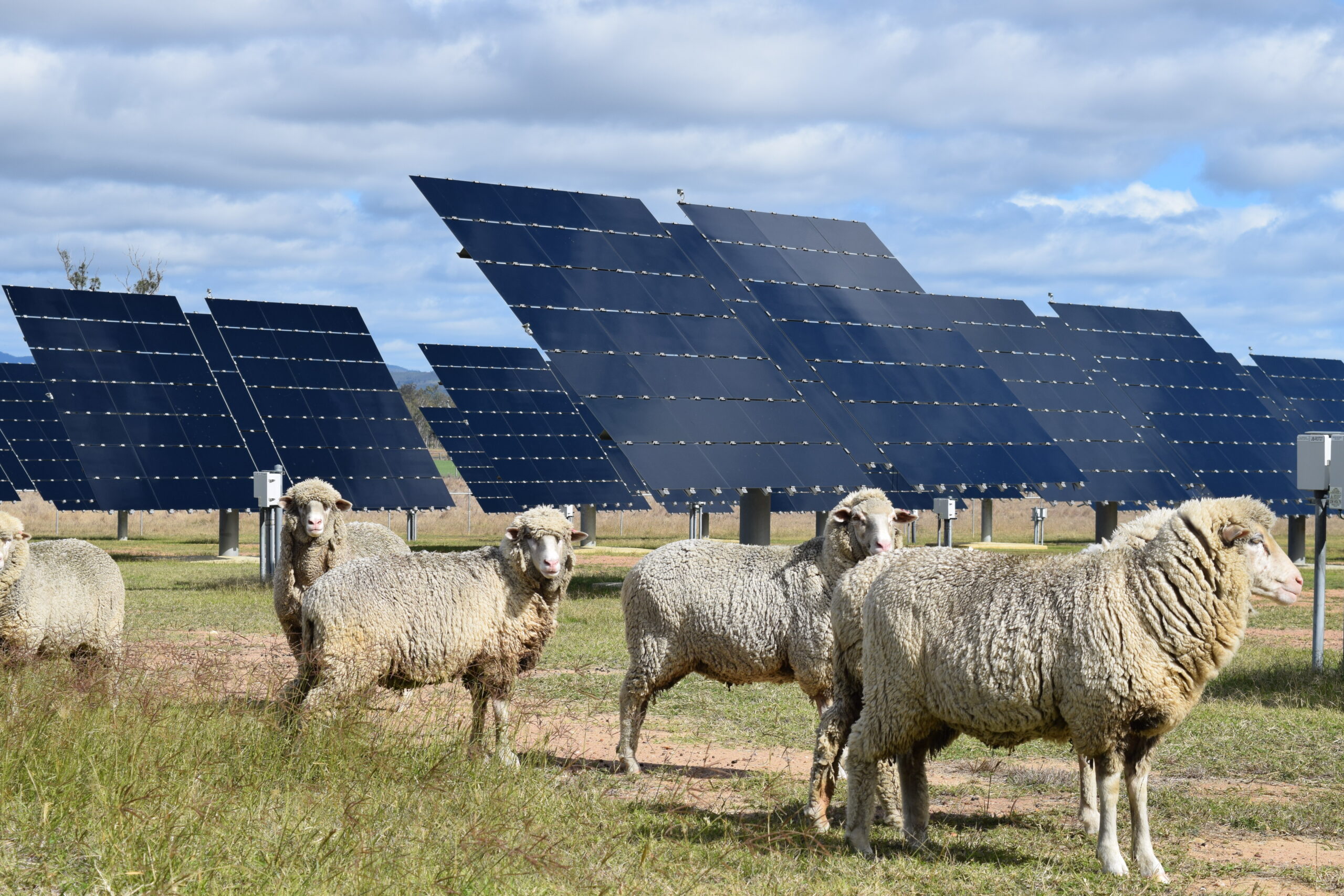 Alternative energy opportunities for rural industries: Short report 2 ...
