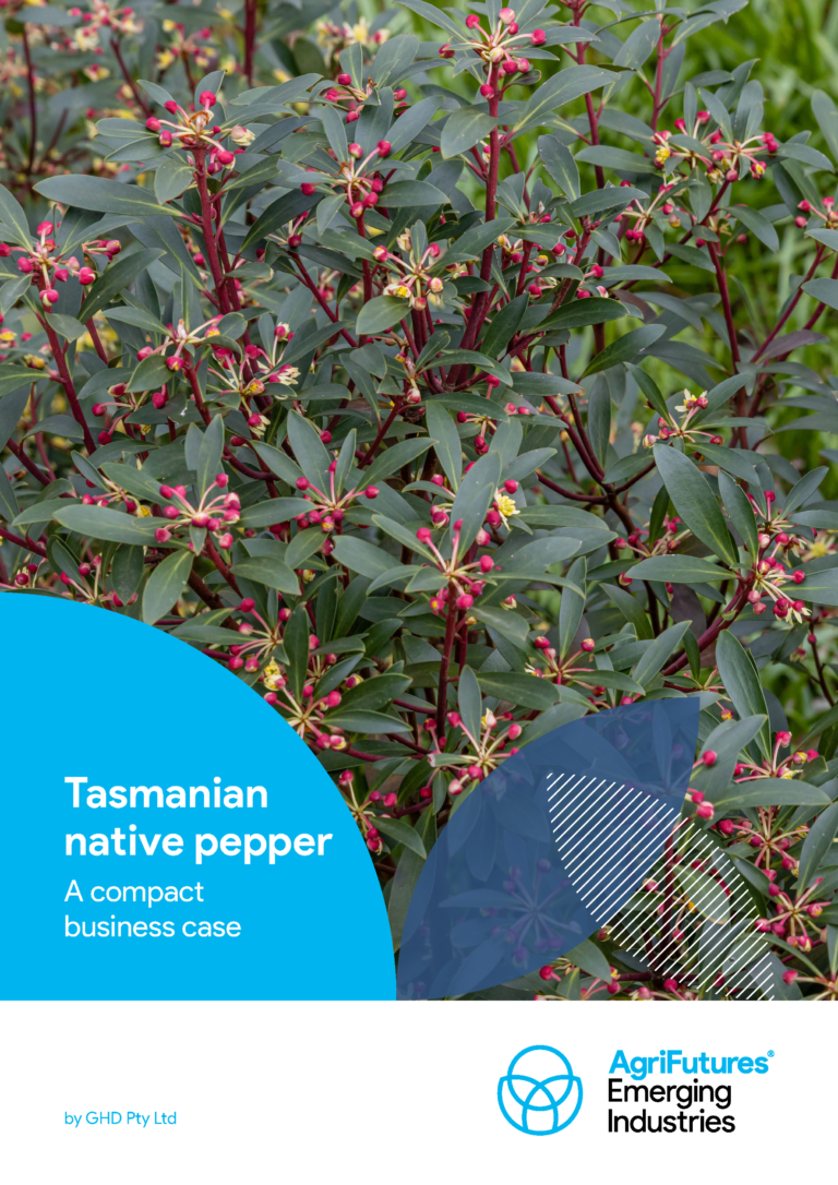 Tasmanian native pepper: A compact business case | AgriFutures Australia