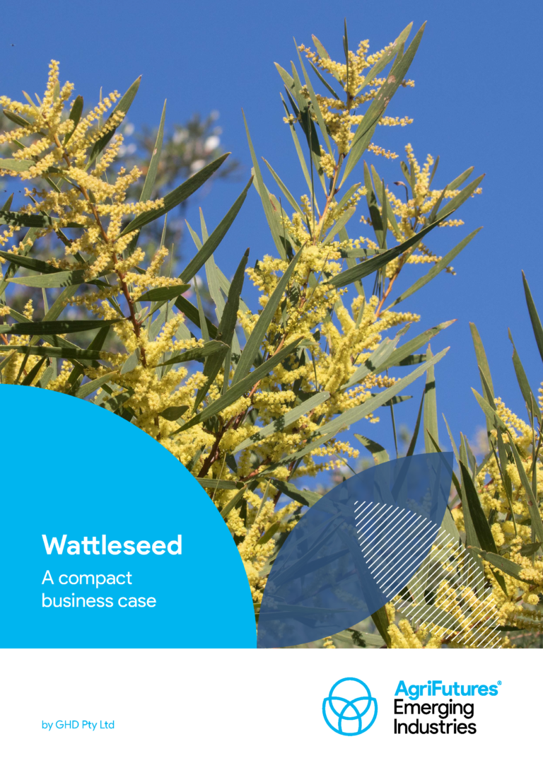 Wattleseed: A compact business case | AgriFutures Australia