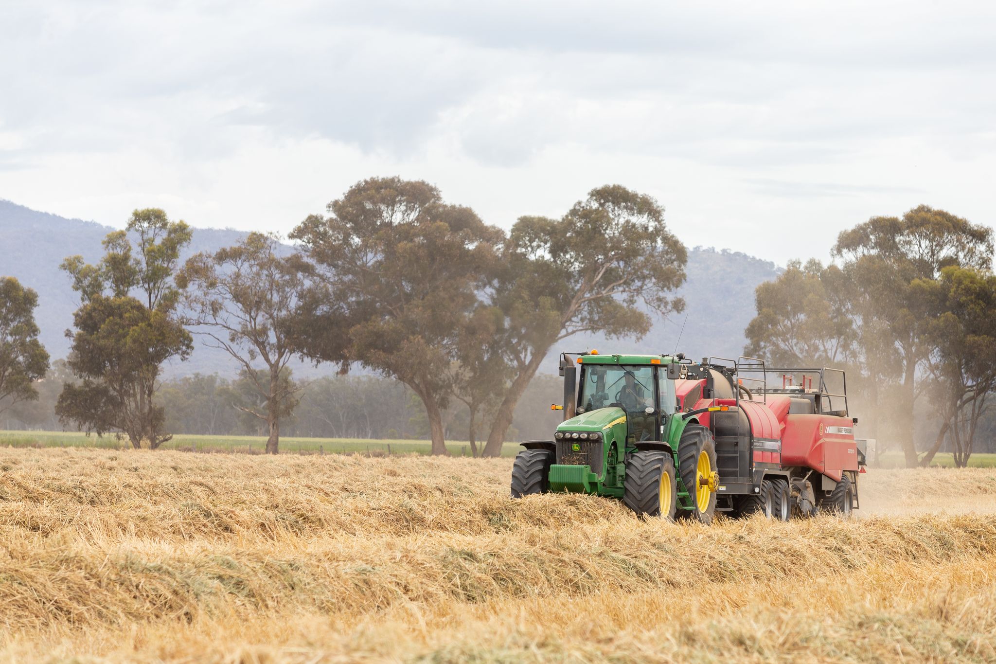 Benchmarking oaten hay yield and quality in South Australia and ...