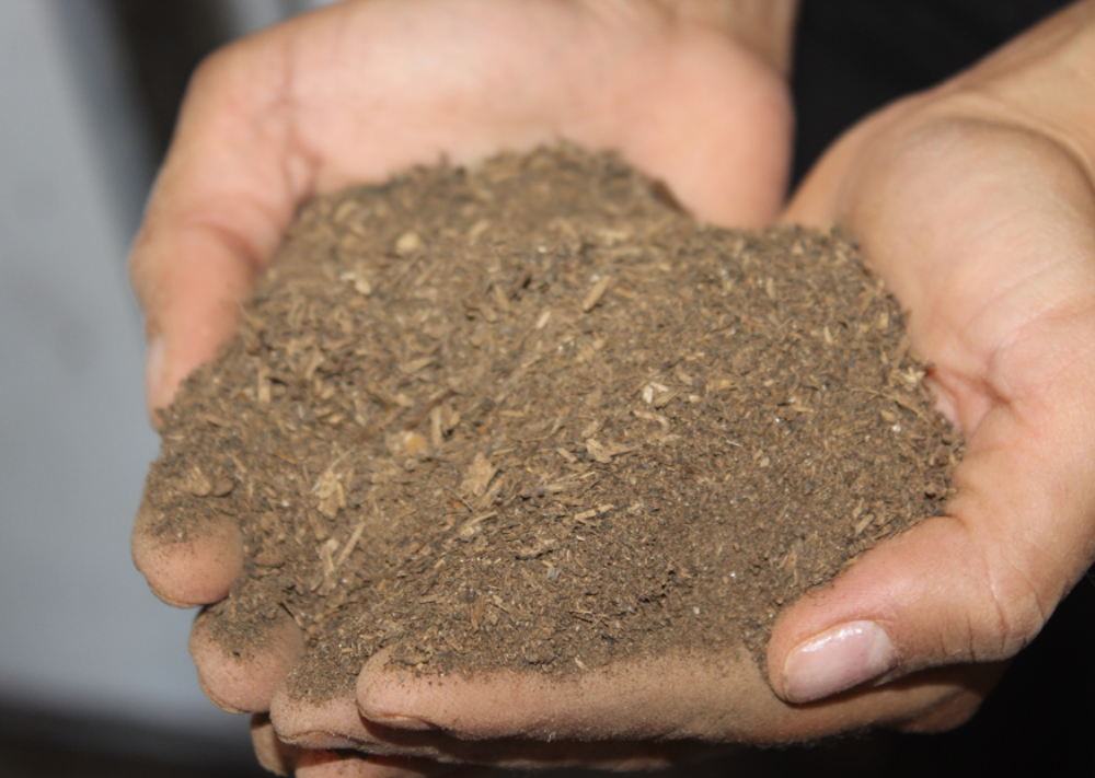 Different feedstock results in different nutrient profiles for Black ...