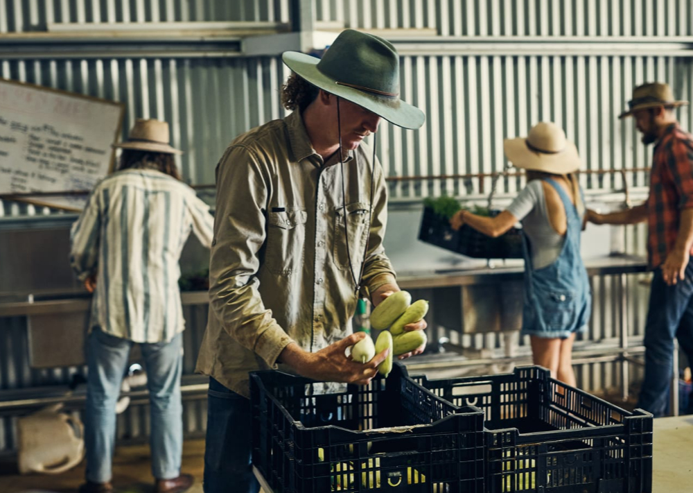 New Research a Game Changer for Rural Industries Workforce ...