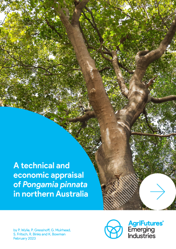 A technical and economic appraisal of Pongamia pinnata in northern ...