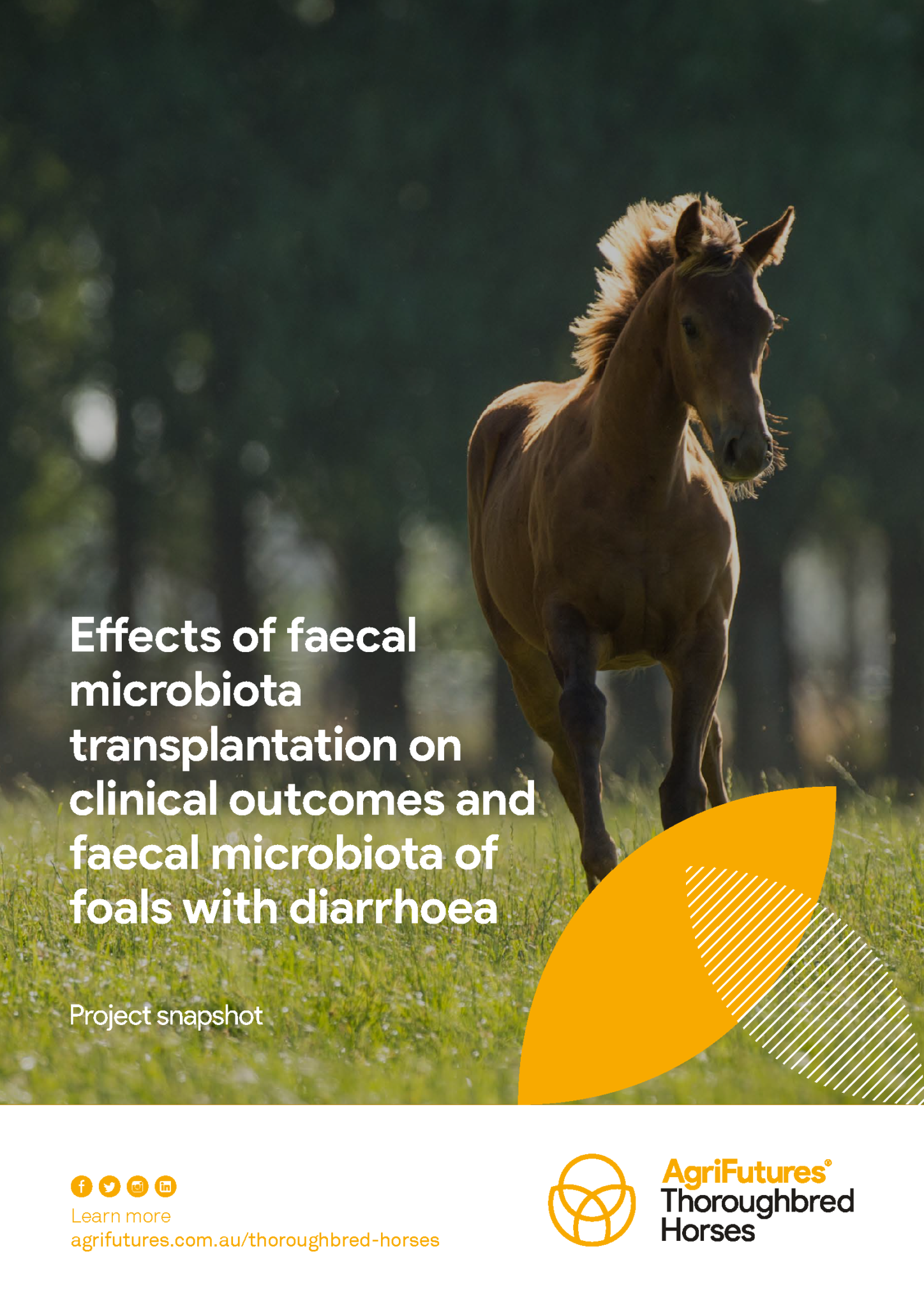Project snapshot: Effects of faecal microbiota transplantation on ...