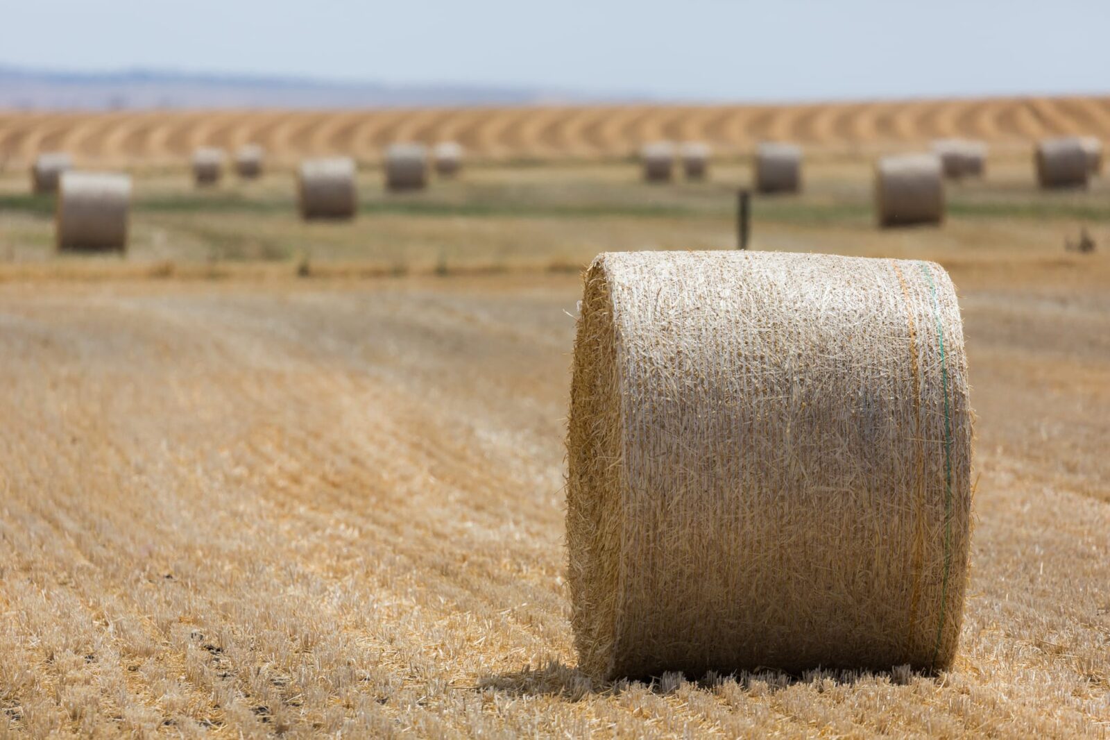 Pre-farm gate waste management: Guidelines for waste data collection ...