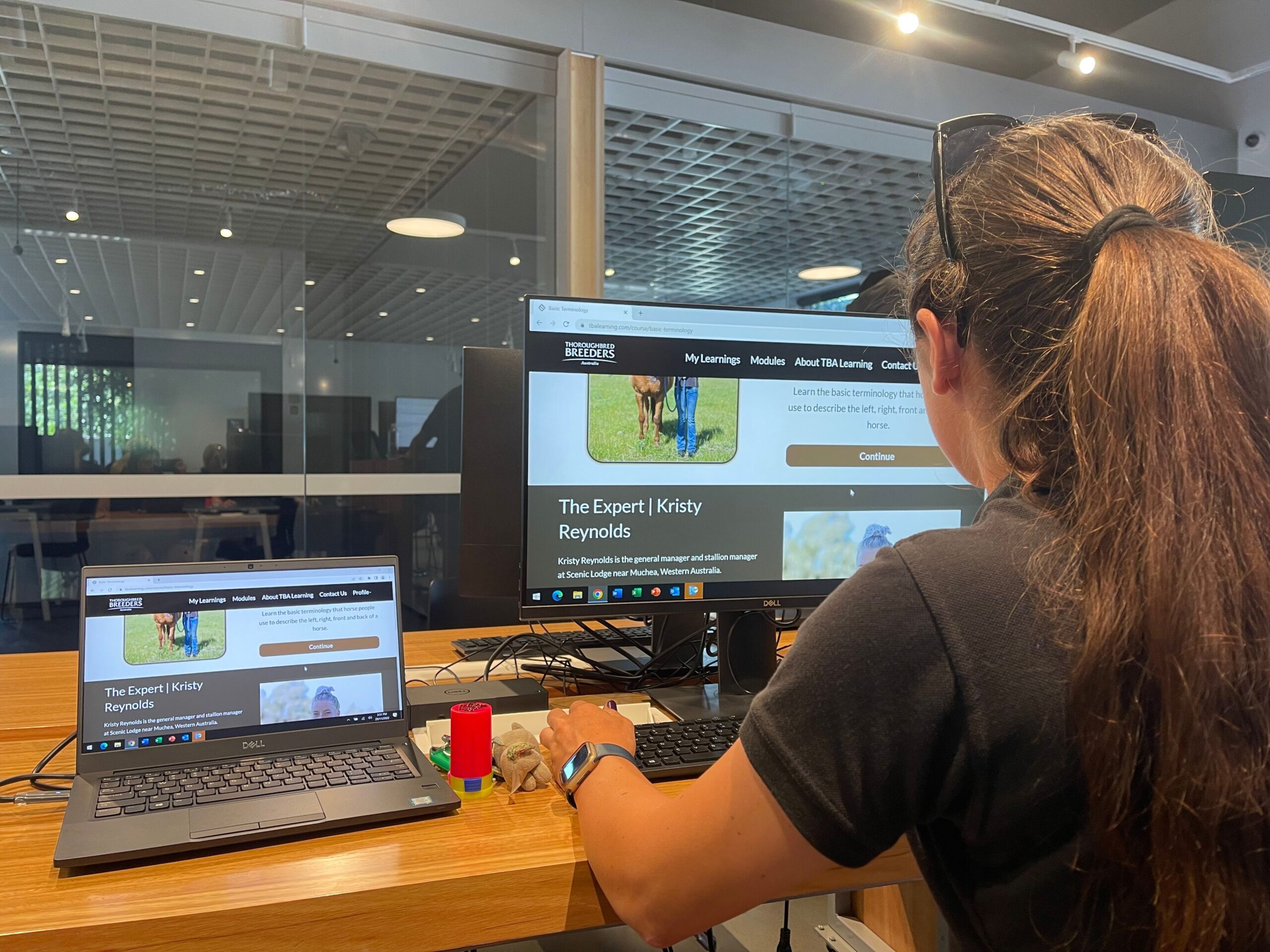 Thoroughbred Breeders Australia launch new education platform ...