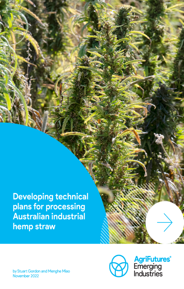 Developing technical plans for processing Australian industrial hemp straw | AgriFutures Australia