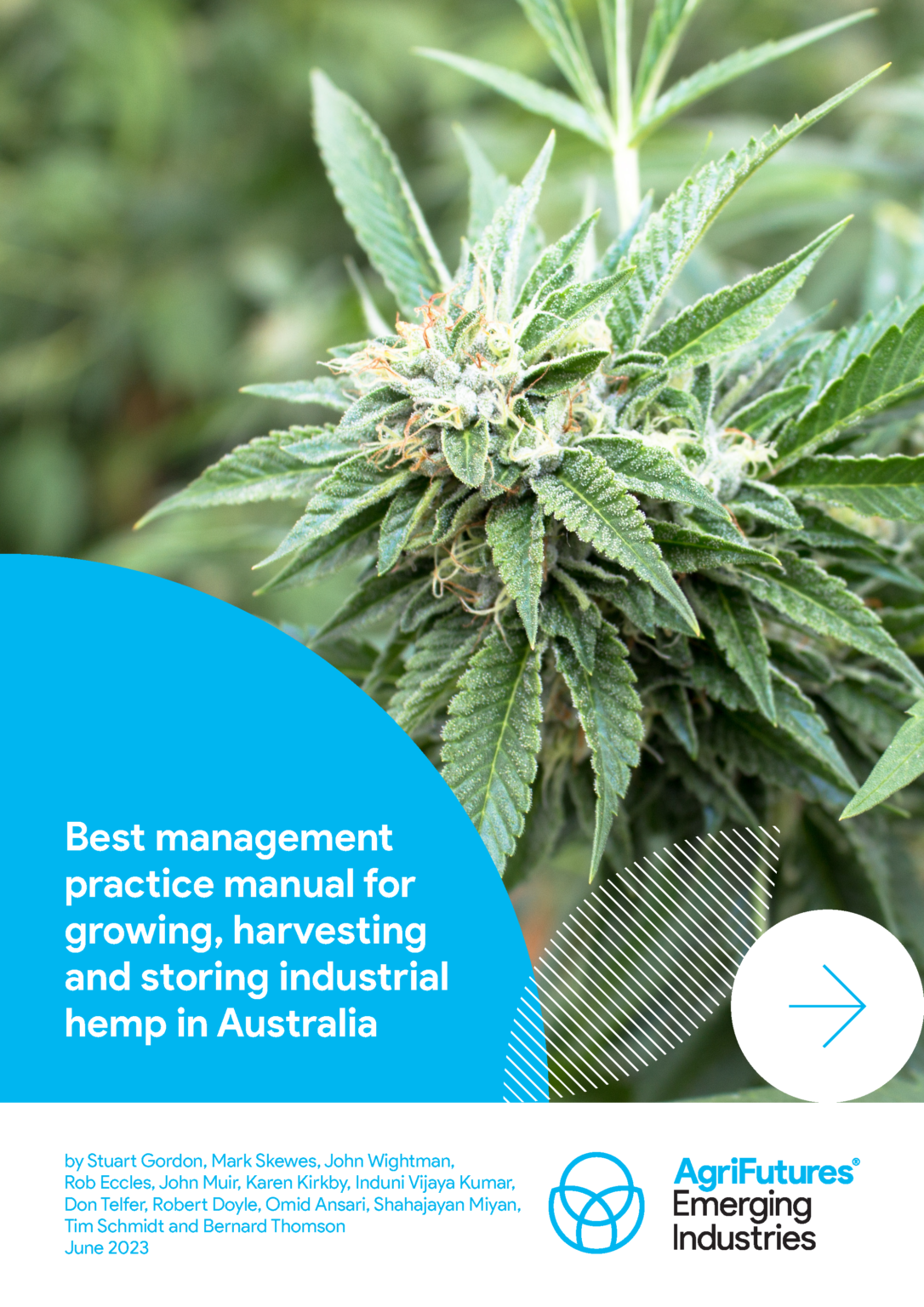 Best management practice manual for growing, harvesting and storing industrial hemp in Australia ...