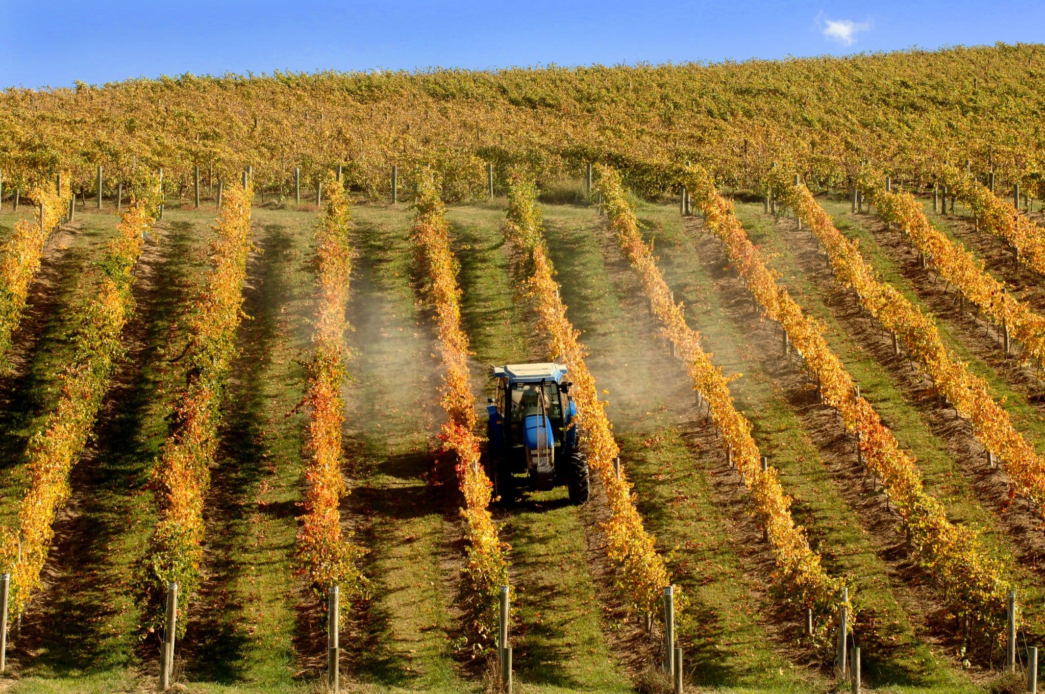 Top five disruptions to Australia’s agrifood supply chain | AgriFutures ...