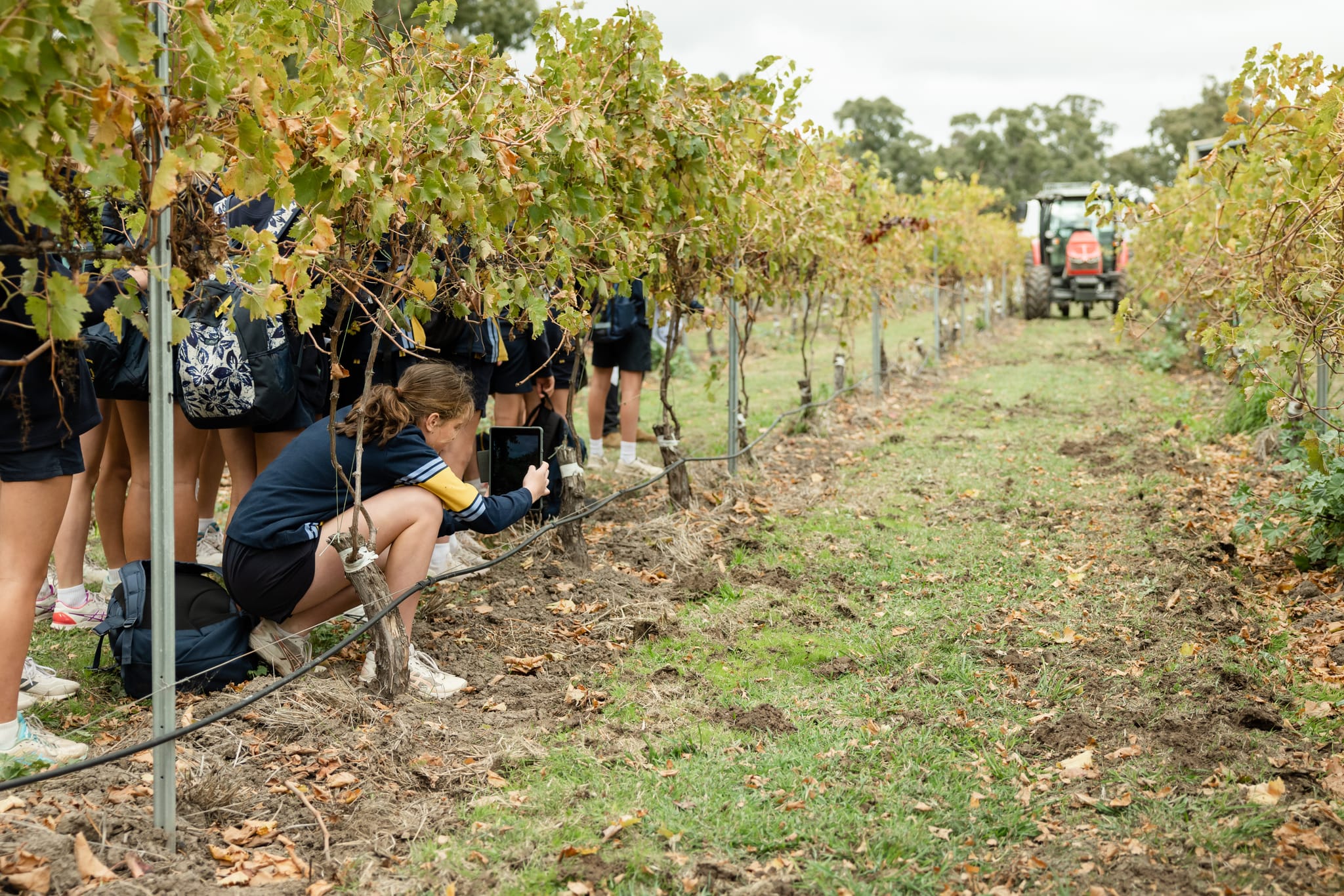 Cultivating the next generation: The role of school-based educators in ...