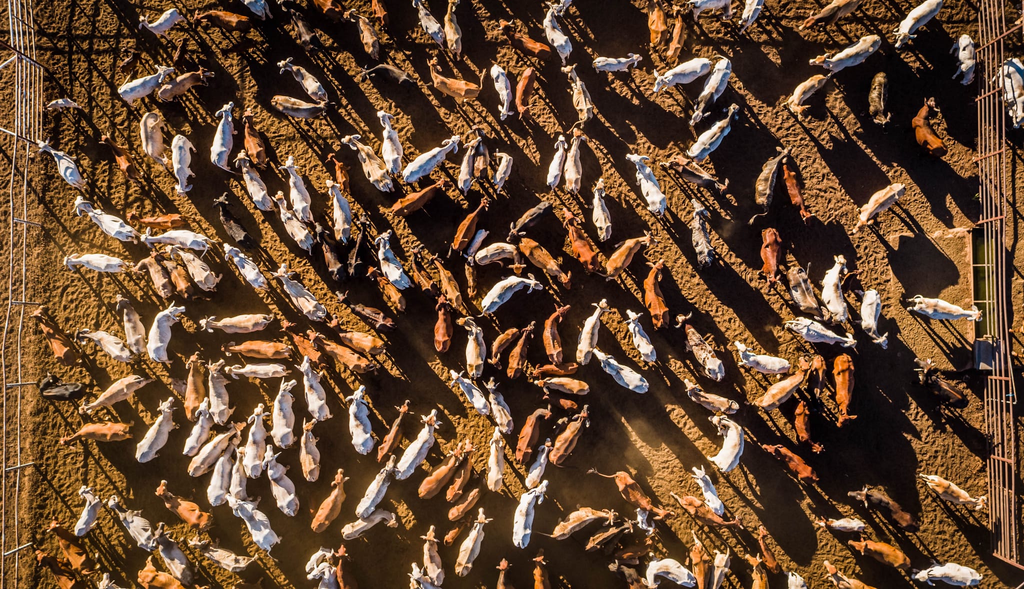 Preparing for extreme disruptions: A boom-and-bust planning guide for ...