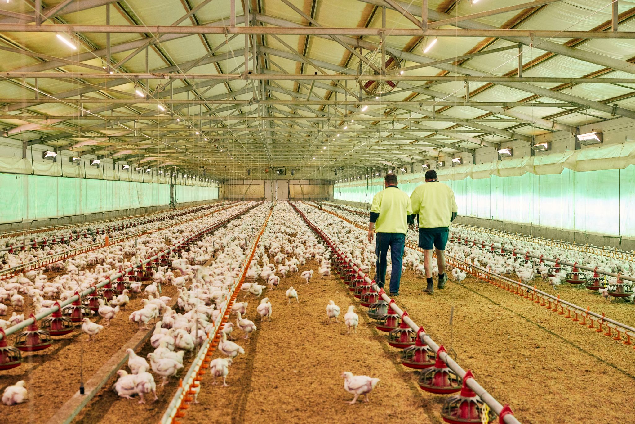 Gary Sansom Scholarship | AgriFutures Australia