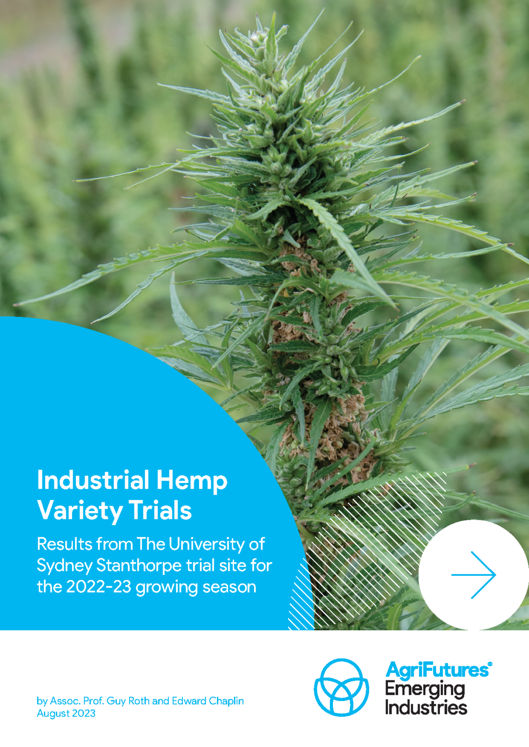 Industrial Hemp Variety Trials: Results from The University of Sydney ...