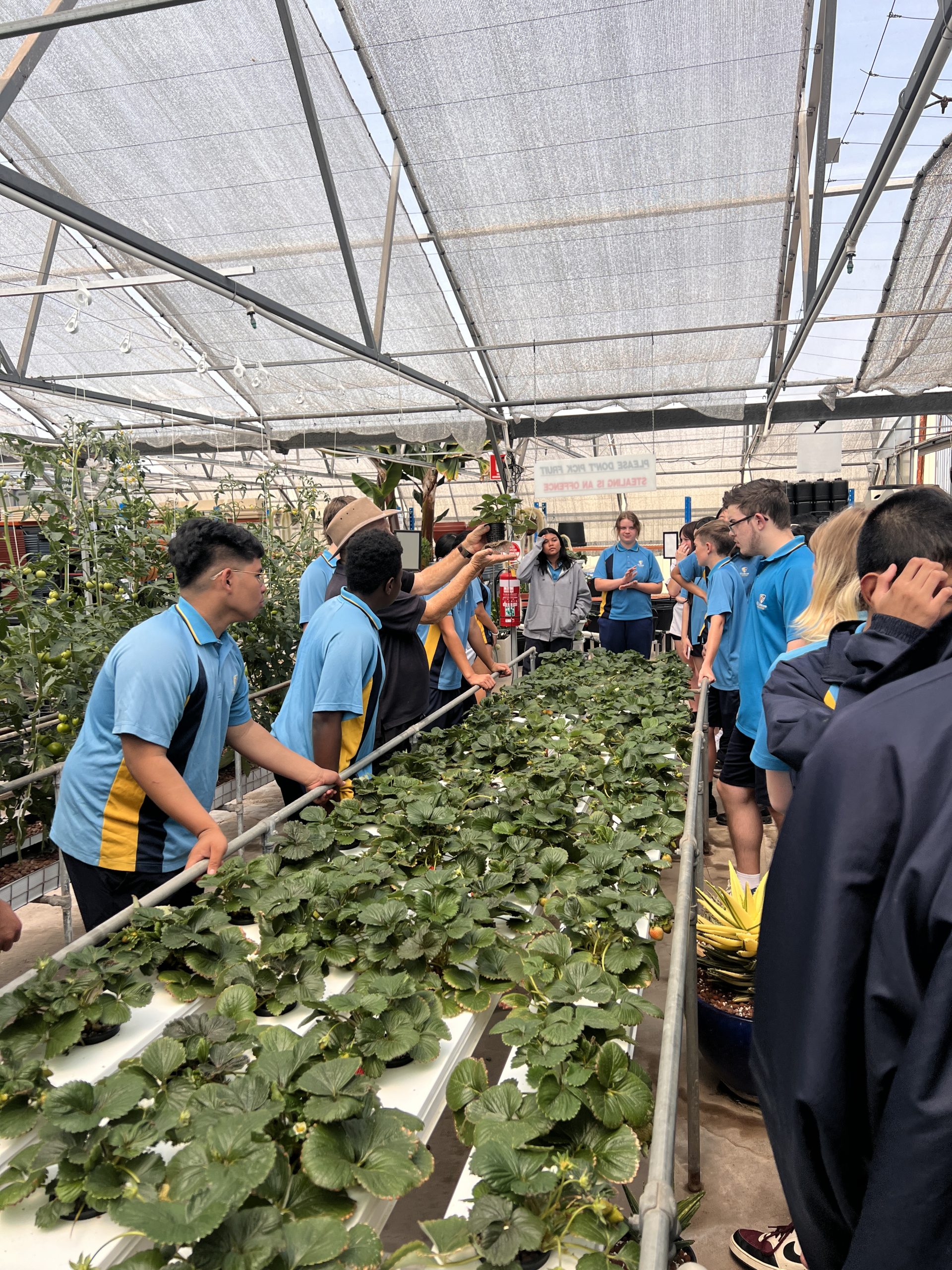 Engaging secondary students in agricultural careers | AgriFutures Australia